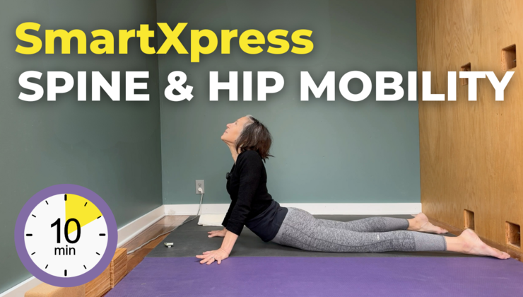 Spine & Hip Mobility |⚡️ 10-Minute Follow-Along Routine