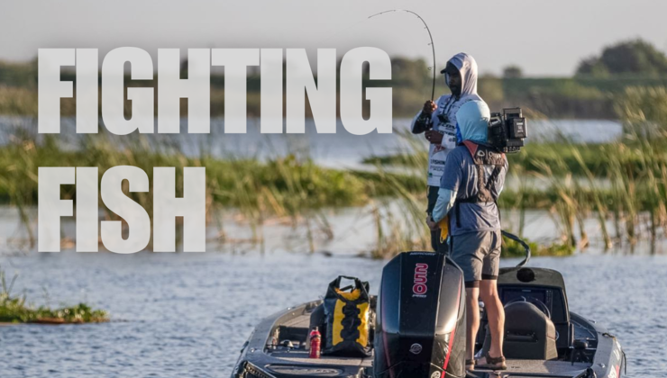 How to Fight Fish