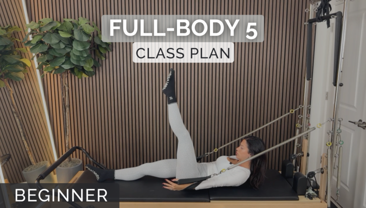 Beginner Reformer & Springboard 5 | Inner Thighs, Stability & Strength