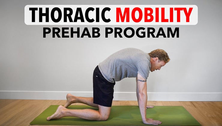 Thoracic Mobility