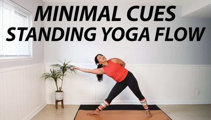 30 Min Standing Vinyasa Yoga | Minimal Cues for Strong Beginners ...
