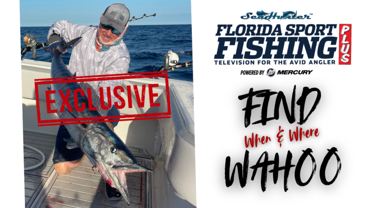 When & Where To Find Wahoo