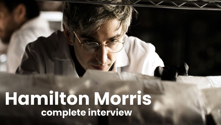Hamilton Morris Interview