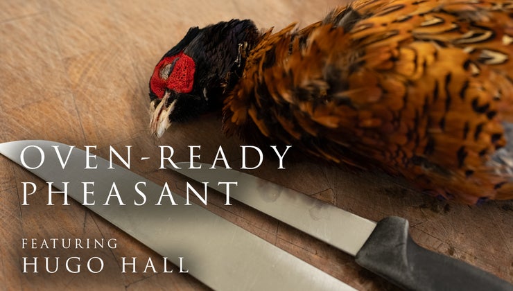Hugo Hall - Oven-Ready Pheasant