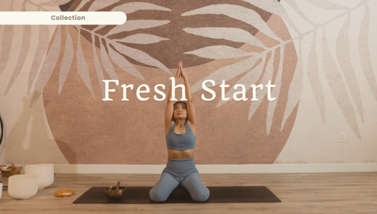 Fresh Start Collection