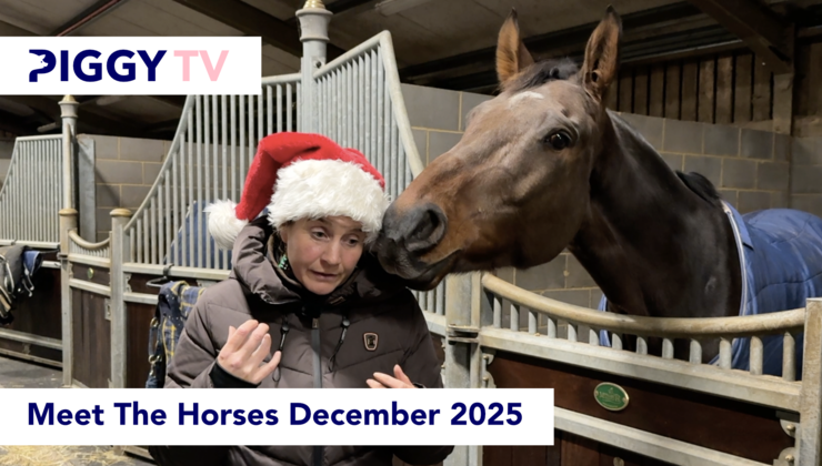 Meet The Horses December 2025 | Piggy TV