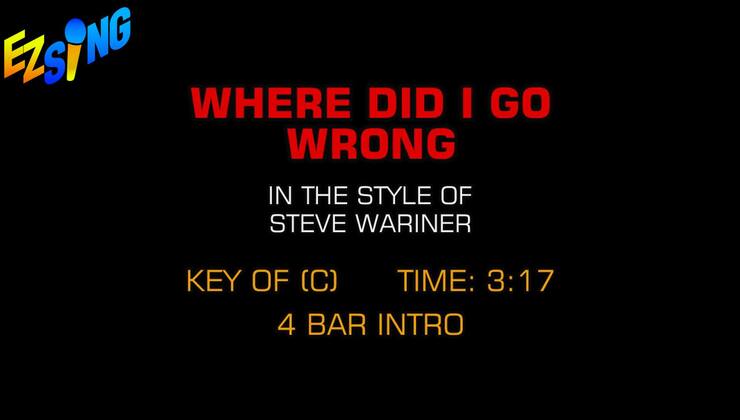 Steve Wariner - Where Did I Go Wrong EZ Sing Version