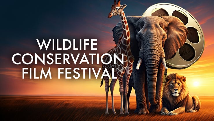 Wildlife Conservation Film Festival 2025