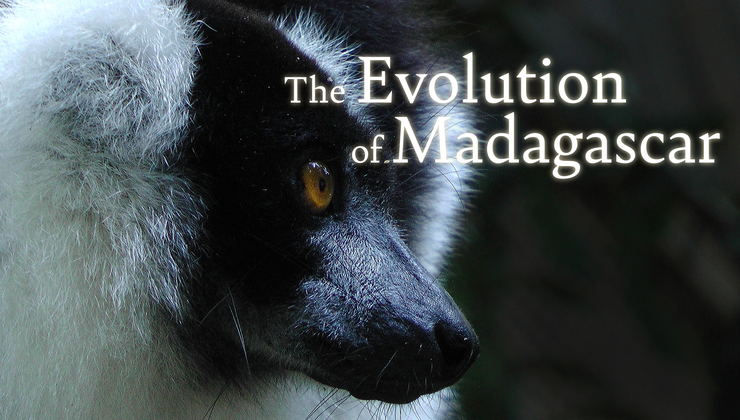 The Evolution of Madagascar