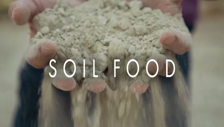 Soil Food - John Liu