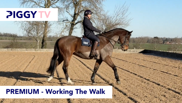Working The Walk | Piggy TV