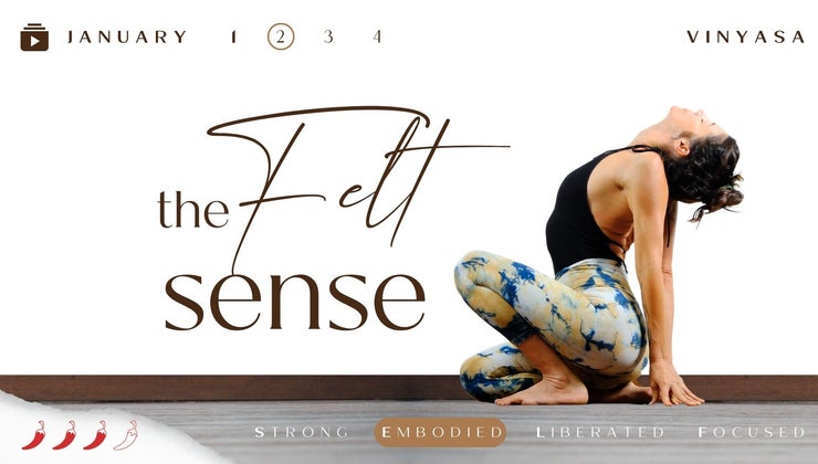 The Felt Sense | Meghan Currie Yoga Online Studio