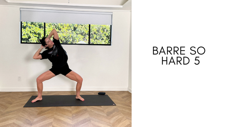 25 Min Barre So Hard 5