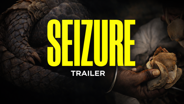 Seizure Trailer