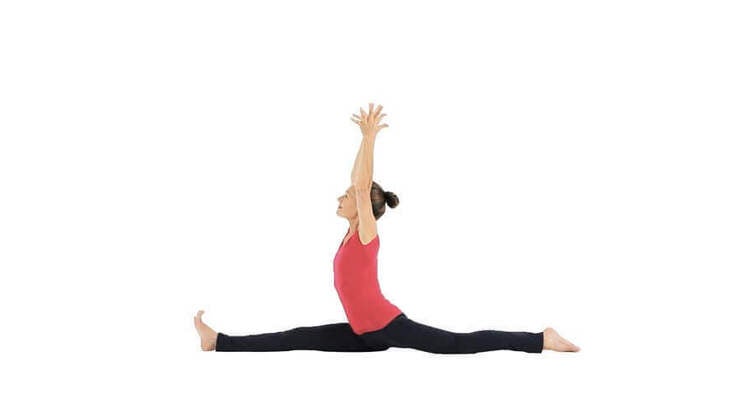 Asanas im Yoga: Lexikon der wichtigsten Yoga-Figuren