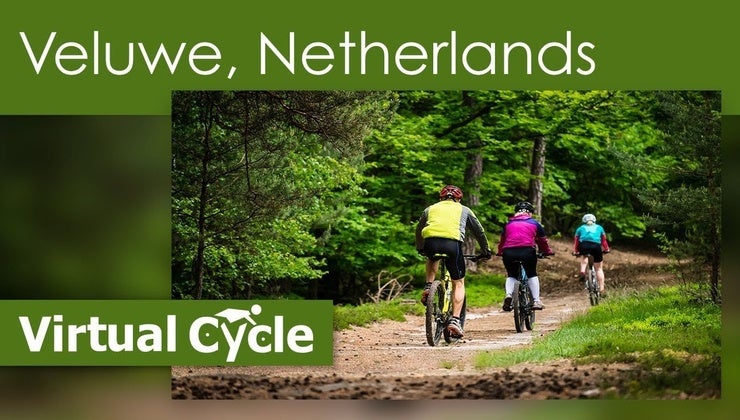 Virtual Cycle Rides - Through The Forest | Virtual Fitness TV