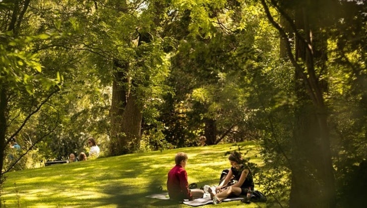 Tema 13 'n Gesonde omgewing | Raising brightness