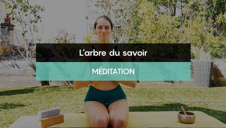 Meditation: L'arbre du savoir