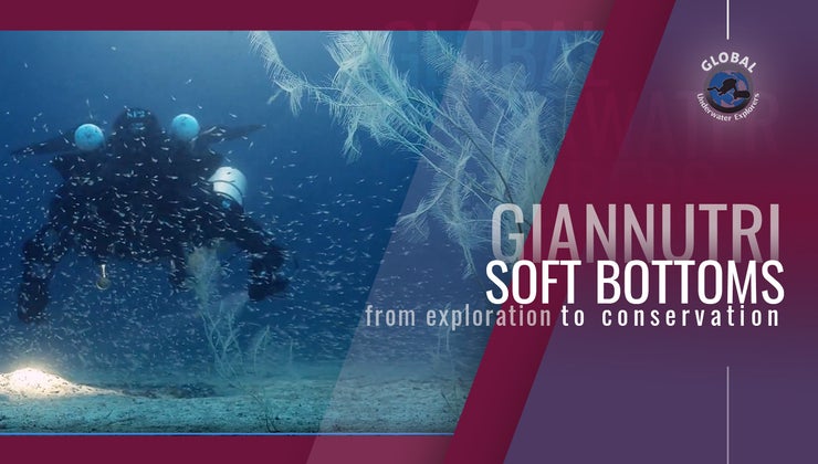Exploring the Underwater Ecosystems of Giannutri Island