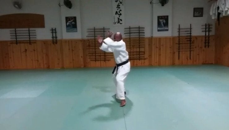 In-Depth with Joe Thambu Sensei - 8th April 2020 | AikiTV