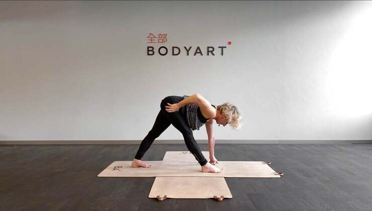 Yoga Biomechanics | Backside & Stability