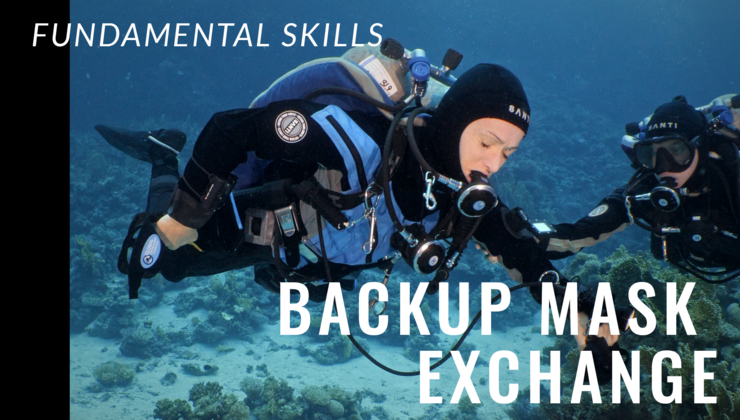 Backup mask exchange