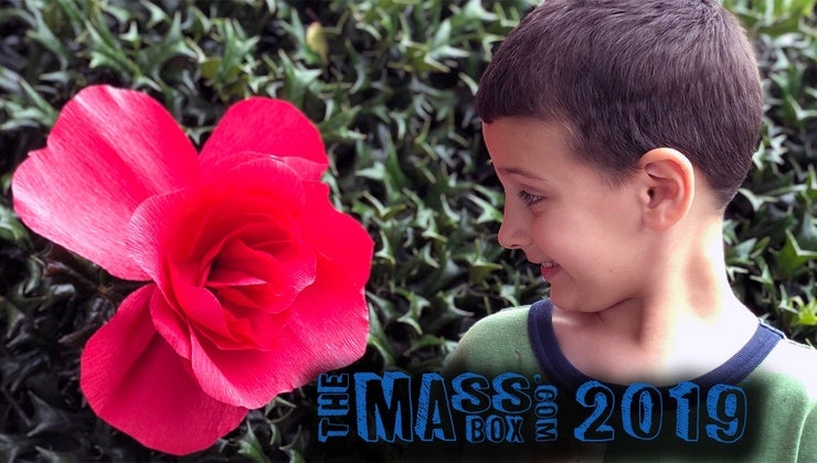 The Mass Box - Year C