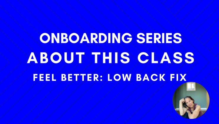 Intro To Feel Better: Low Back Fix | The Elevate Practice