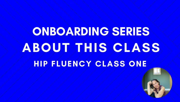 About Hip Fluency Class One | The Elevate Practice