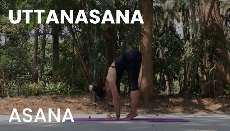 Uttanasana (Postura de la pinza), la flexión de pie adelante
