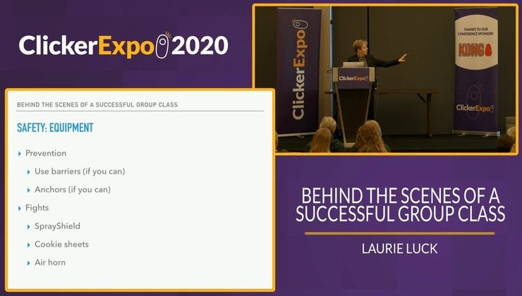 Behind the Scenes of a Successful Group Class - Complete Session ...