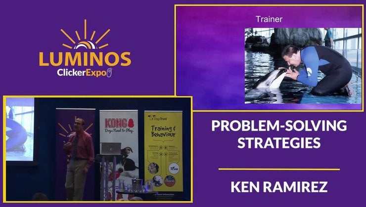 ClickerExpo Luminos: Problem-Solving Strategies - Complete Session | Video on Demand by Karen ...