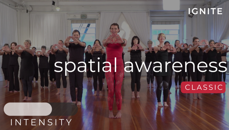 60 min Spatial Awareness | IGNITE with Ann