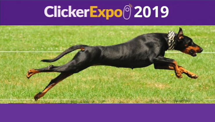 Building Behavior: Shape the Future (2019) | Video on Demand by Karen Pryor Clicker Training