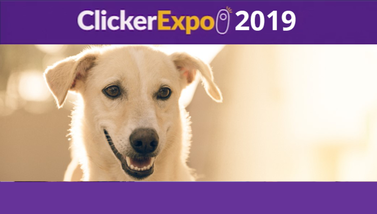 Choice, Control & Empowerment for Shelter Animals (2019) | Video on ...