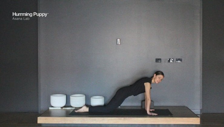 Plank Breakdown with Sarah