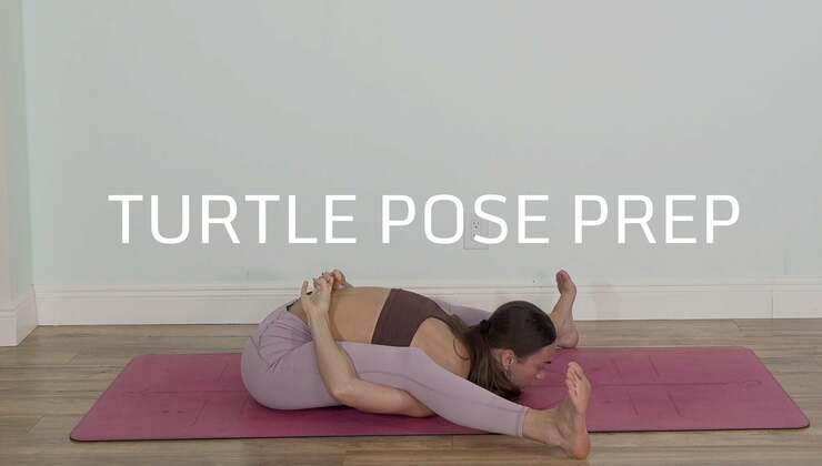tortoise pose prep