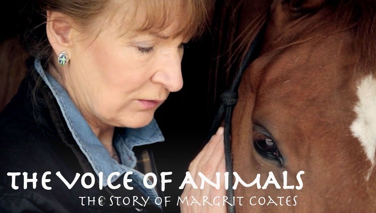 The Voice of Animals | Films For Change