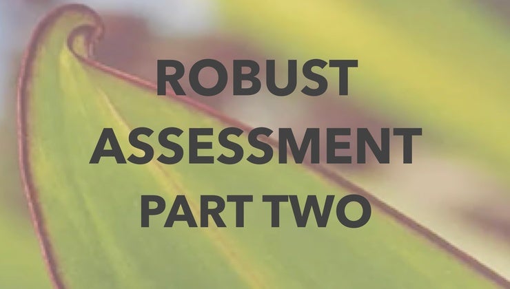 ROBUST ASSESSMENT Part Two | Educational Leadership Project Videos