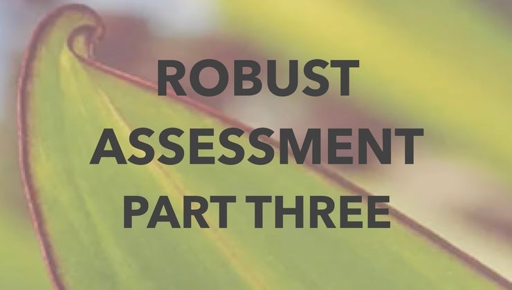 ROBUST ASSESSMENT Part Three | Educational Leadership Project Videos