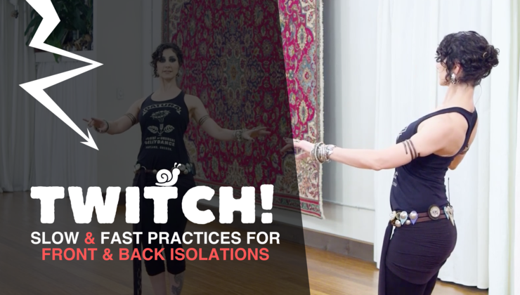 Twitch: Slow and Fast Intervals on the Sagittal Plane