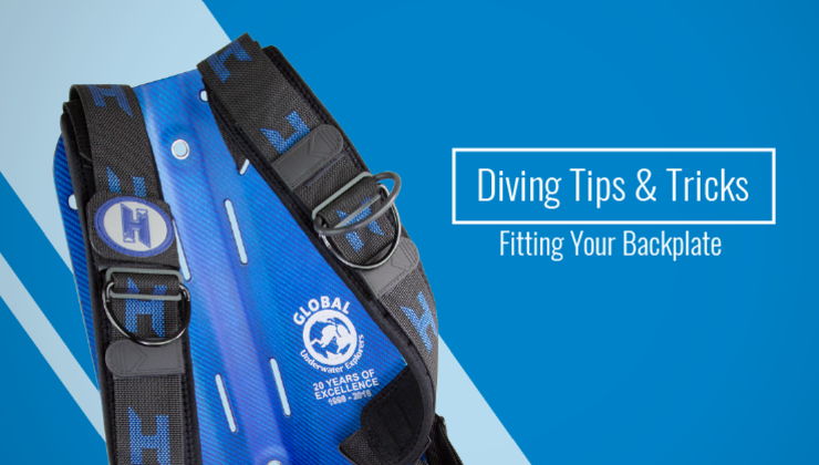 Diving Tips & Tricks: Fitting Your Backplate