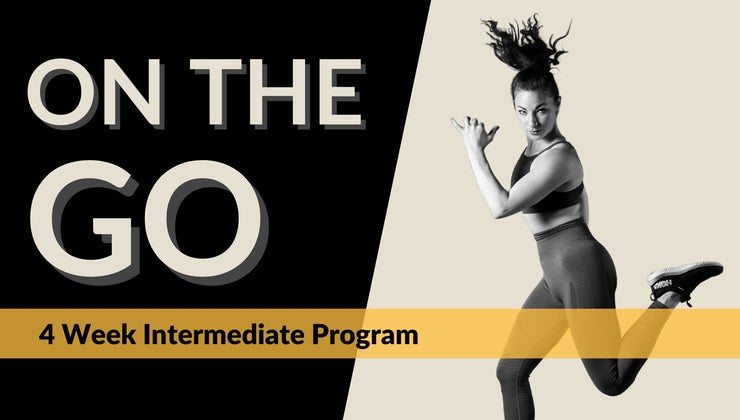 On the Go Program