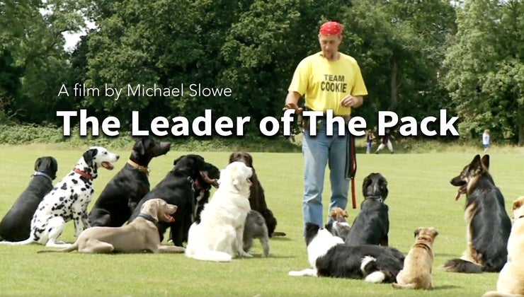 The Leader of the Pack