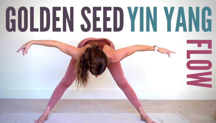 Yang to Yin (30 min)