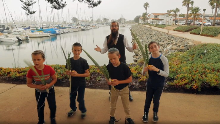 Yoey Muchnik - My Precious Sukka | Toveedo