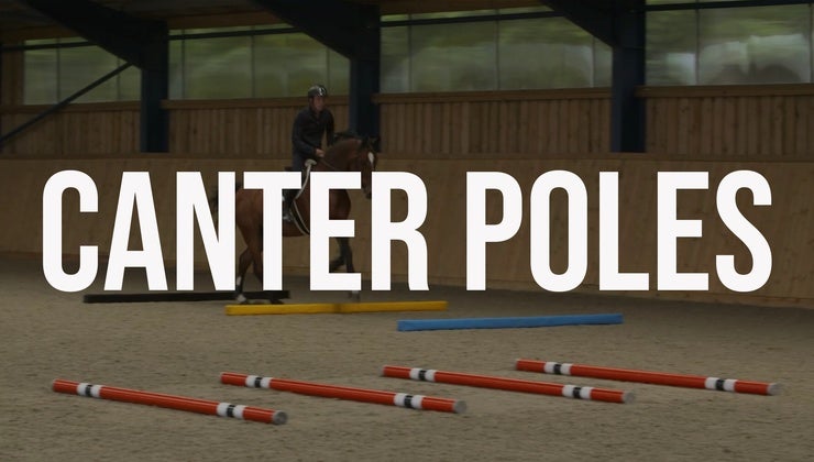 Canter Poles | Scott Brash Equestrian Training
