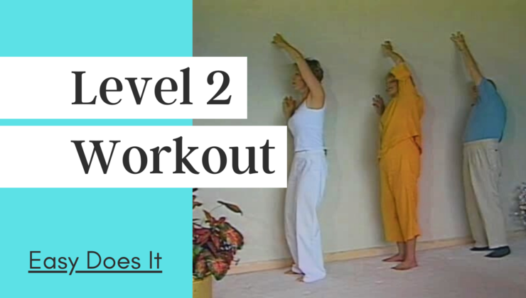 Oxycise! Easy Does It Level 2 Workout | Senior Fitness