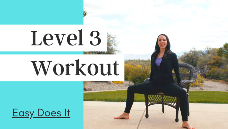 Oxycise! Easy Does It Level 3 Workout | Senior Fitness