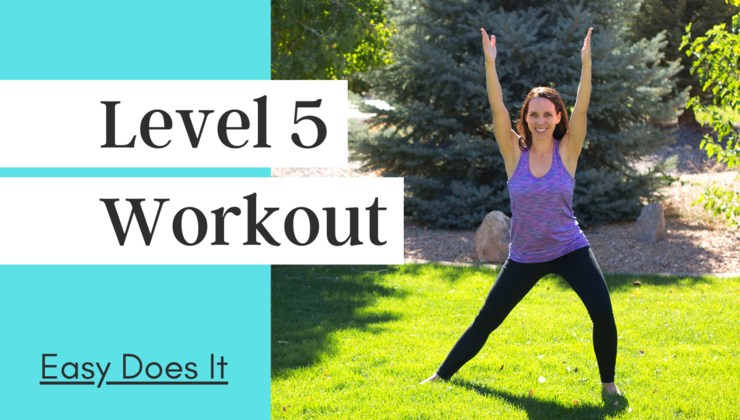Oxycise! Easy Does It Level 5 Workout | Senior Fitness